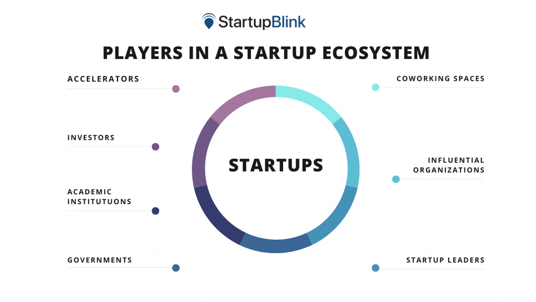 How to build a startup ecosystem?