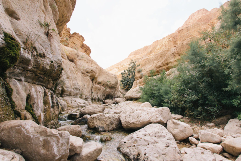 Yokneam, Israel Startup Ecosystem - StartupBlink Blog